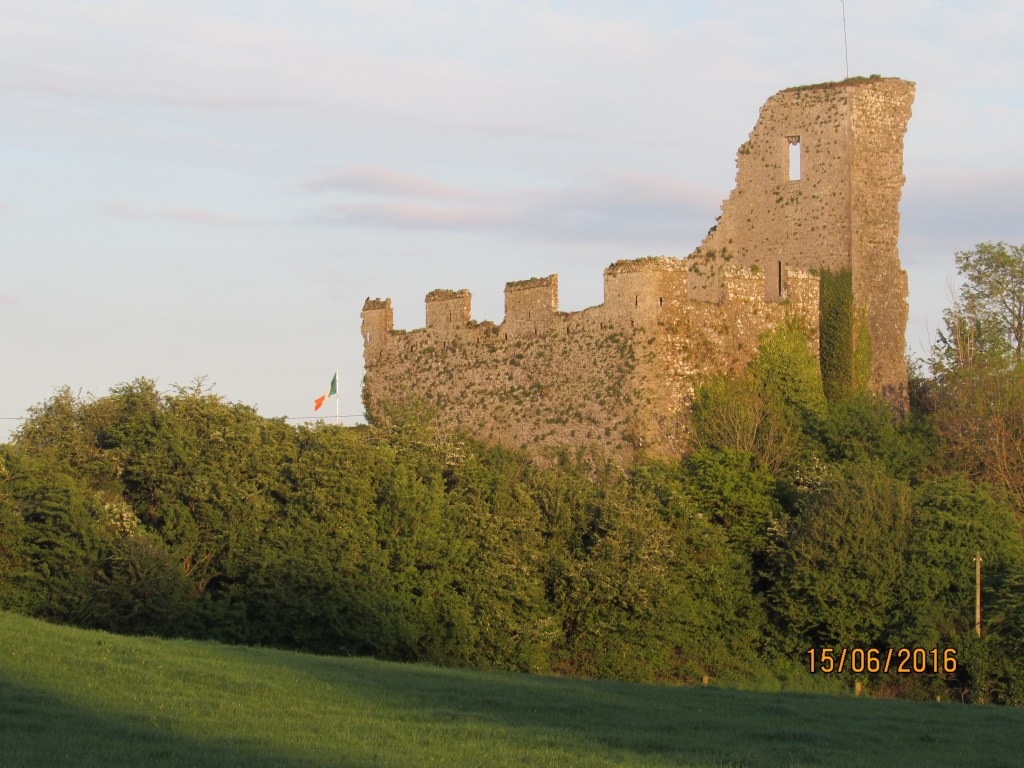 Cappagh Castle